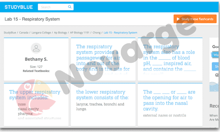 Novarge Uzaktan Eğitim Merkezi | Eğitim Odaklı Web Siteleri